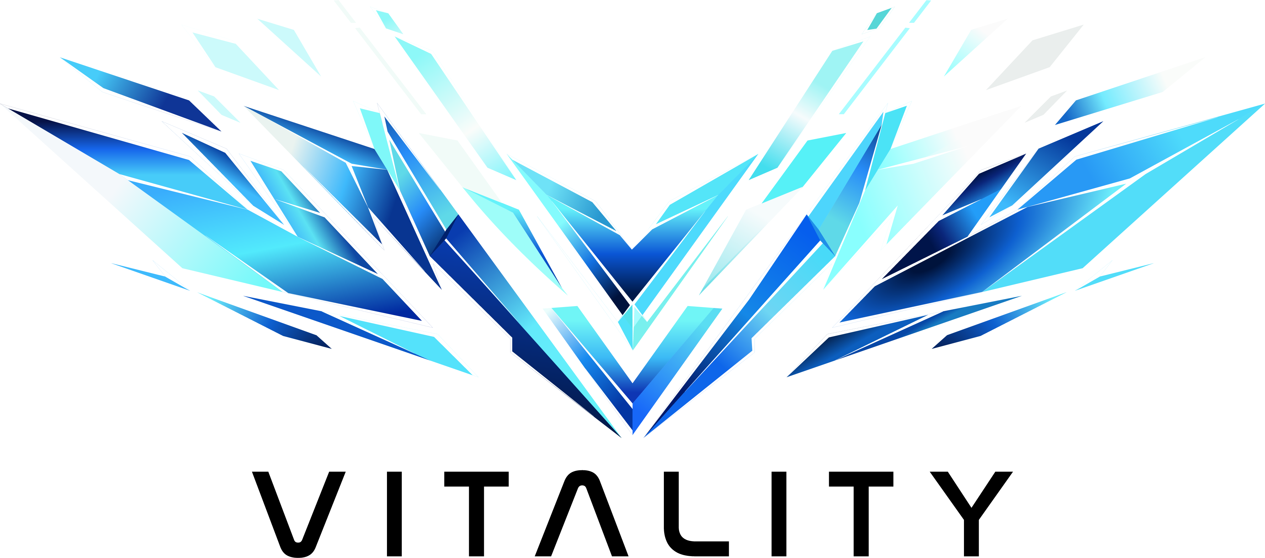 Vitality | Jeu d'actions en équipe à Nantes | Challenge Arena